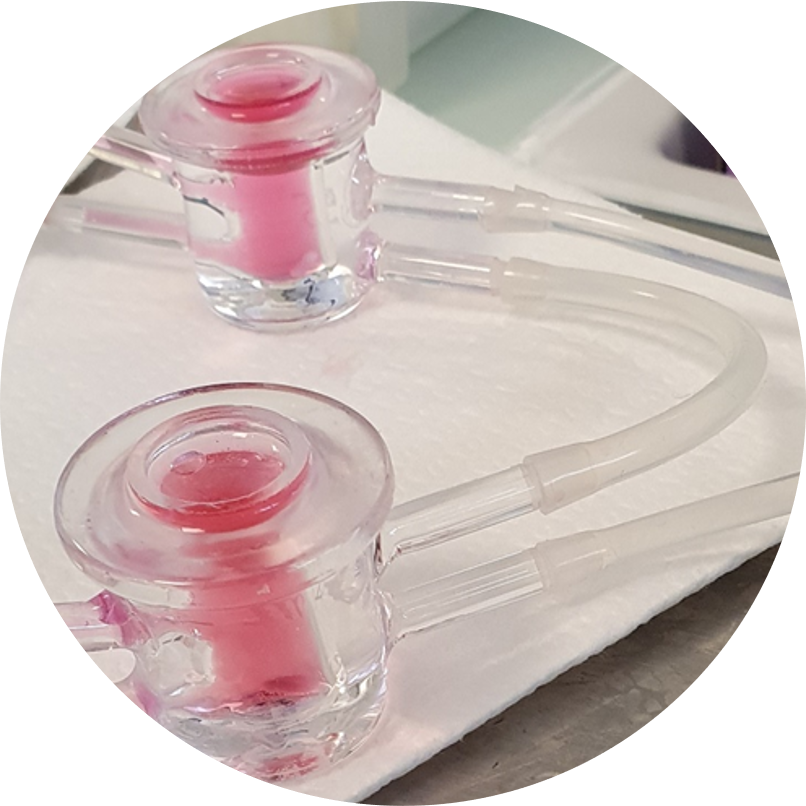 IN VITRO PERMEATION TESTING (IVPT) | PKDERM