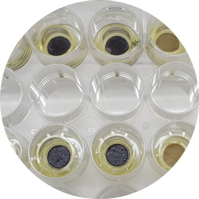 PKDERM - In vitro solutions for safety and efficacy testing